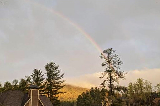 Saving Scott's Ridge | Pinnacle Actuarial Resources